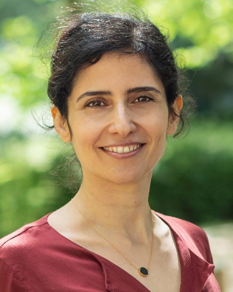 Dr. Bahar Haghanipour – Abgeordnetenhaus Berlin